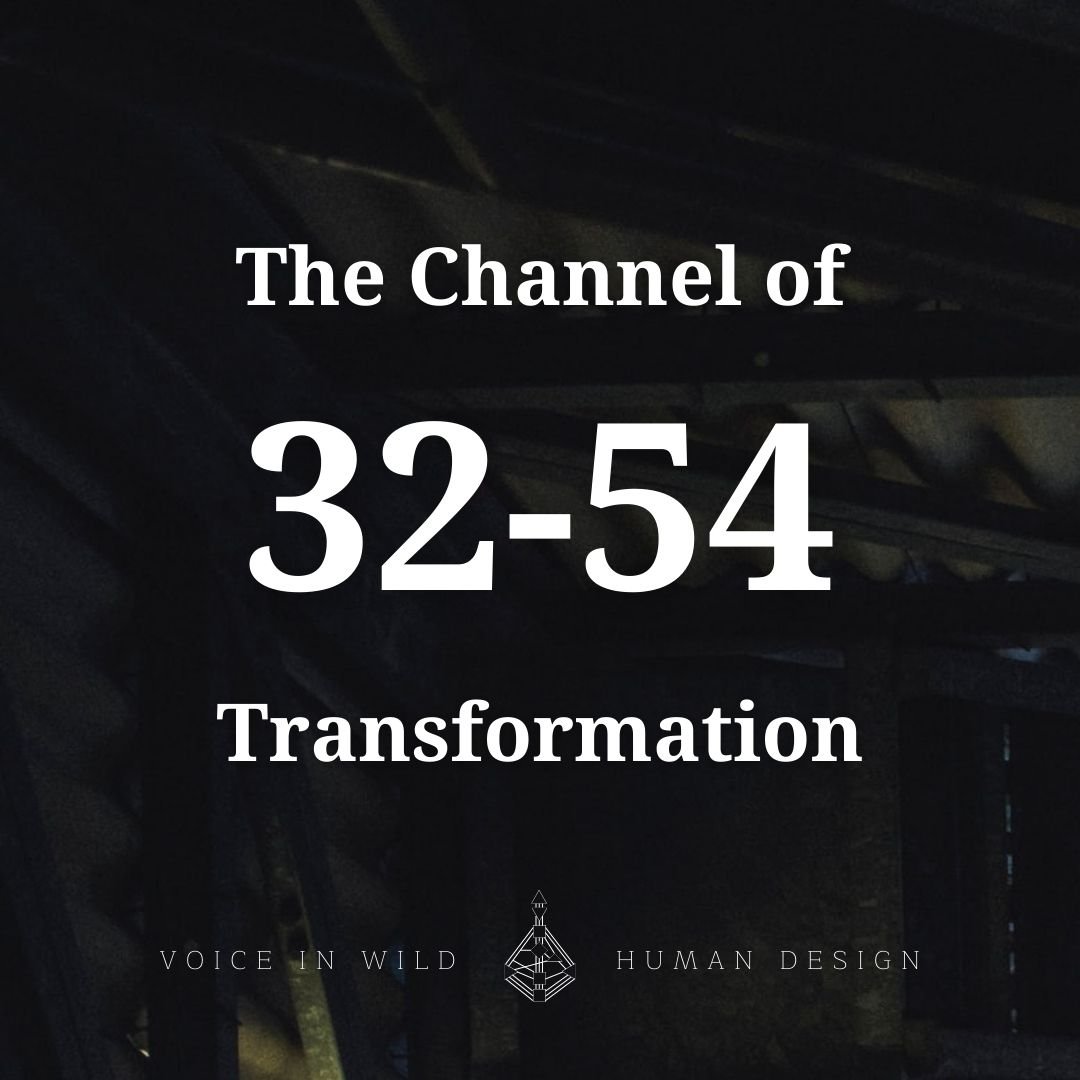 32-54蛻變的通道 - 無人理睬的曠野之聲 × 人類圖